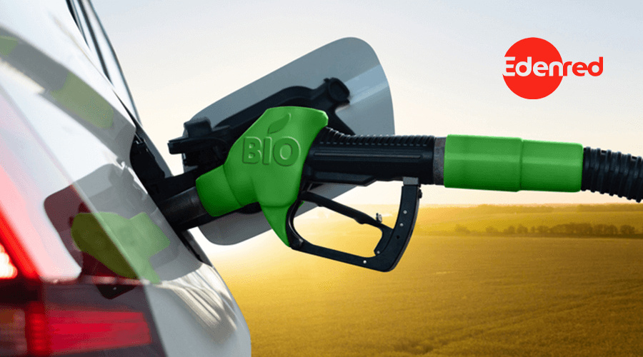 ¿Qué es el biodiesel y por qué es el futuro?