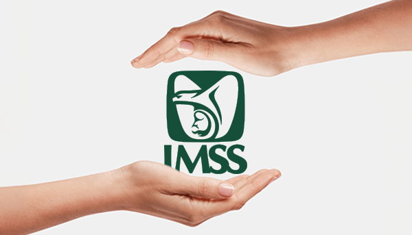 Semanas cotizadas IMSS: cuántas tengo y cómo alcanzarlas