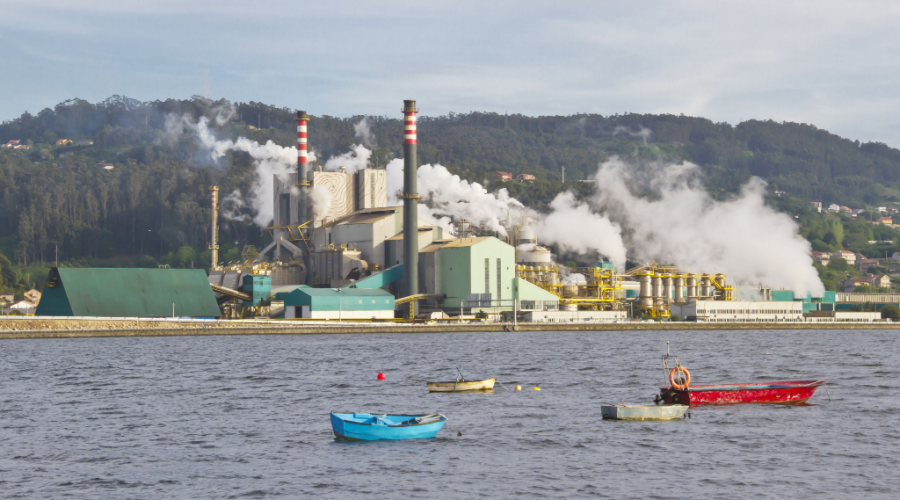 Impacto Ambiental: tipos, causas y soluciones